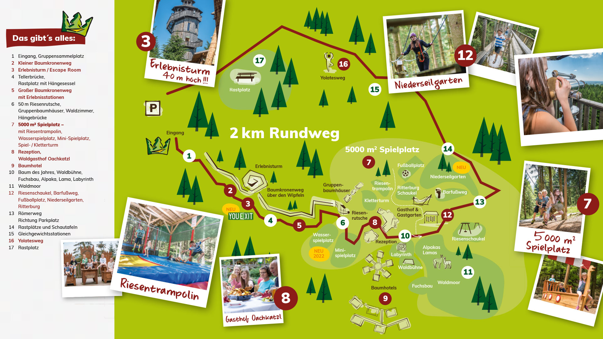 Grenzenloses Walderleben mit Info- und Erlebnisstationen